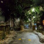 Entopia Butterfly and Nature Discovery Park Entry Ticket Penang - Authentic Experiences and Visitor Feedback