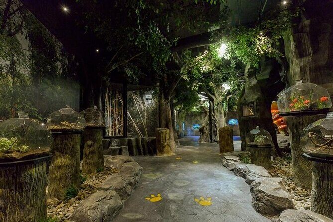 Entopia Butterfly and Nature Discovery Park Entry Ticket Penang - Authentic Experiences and Visitor Feedback