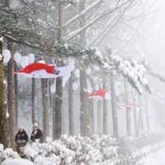 Eobi Ice Valley, Nami Island & Railbike from Seoul (opt. Garden) - Practical Tips and Traveler Insights