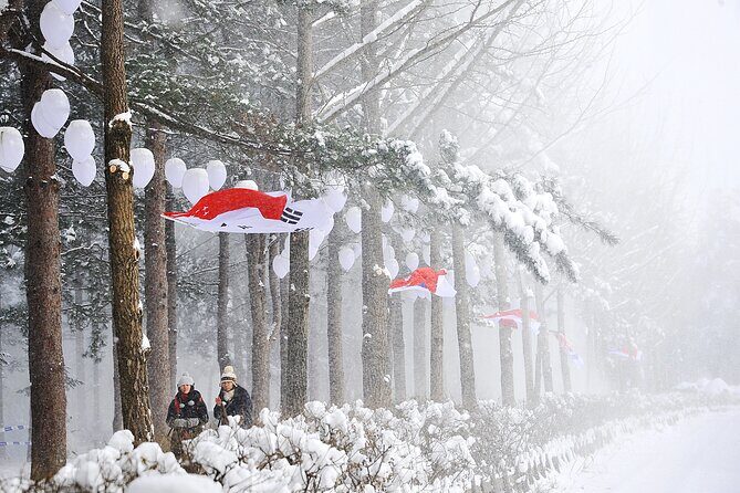 Eobi Ice Valley, Nami Island & Railbike from Seoul (opt. Garden) - Practical Tips and Traveler Insights