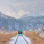 Eobi Valley, Alpaca World, Nami Island, Railbike/Garden fr Seoul - Authentic Experiences & Traveler Feedback