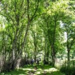 Epic Trip from Osh to Song Kol and Issyk Kul - Transportation and Group Dynamics