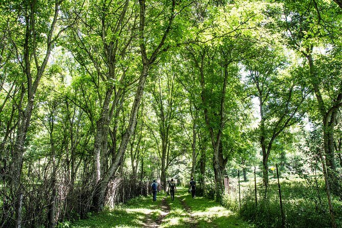 Epic Trip from Osh to Song Kol and Issyk Kul - Transportation and Group Dynamics