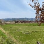 Escape the City Tea, Calligraphy and Tea Fields in Rural Kyoto - The Itinerary in Detail