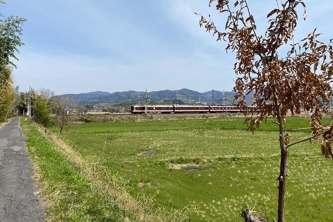 Escape the City Tea, Calligraphy and Tea Fields in Rural Kyoto - The Itinerary in Detail