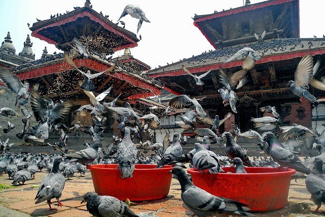 Essence of magnificent India and Nepal - FAQs