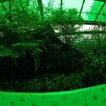 Essential City Shared Walking Tour - What Travelers Are Saying