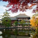 Essential Nara: Origins of Spiritual Japan - What You’ll See and Experience