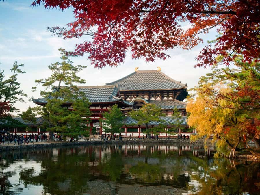 Essential Nara: Origins of Spiritual Japan - What You’ll See and Experience