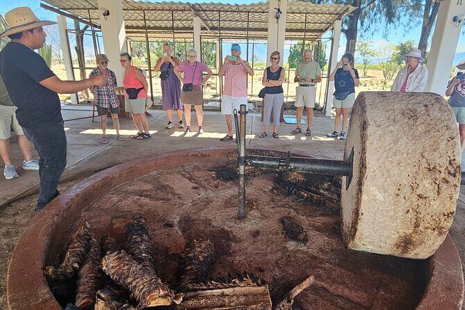 Essential Oaxaca:Tule, Tlacochahuaya, Teotitlán del Valle, Mezcal - Practical Details & Value