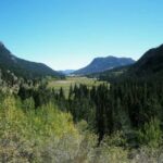 Estes Park Off Road 4x4 Jeep Adventure Tour - Why This Tour Is Worth Considering