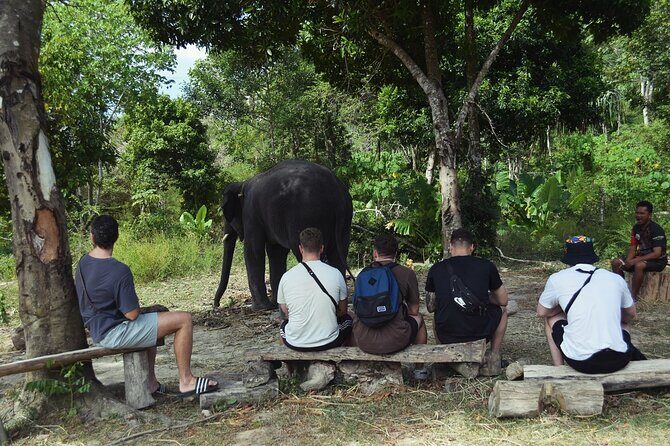 Ethical Elephant Sanctuary from Phuket (NO RIDE) - Who Should Consider This Tour?