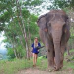 Ethical Elephant Sanctuary Tour from Bangkok & Pattaya - Why You’ll Love This Tour
