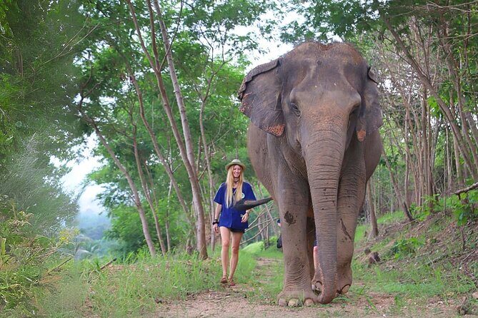 Ethical Elephant Sanctuary Tour from Bangkok & Pattaya - Why You’ll Love This Tour