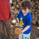 Ethical Elephants Sanctuary and Coconut Experience in Koh Samui - What Travelers Are Saying