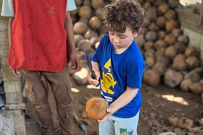 Ethical Elephants Sanctuary and Coconut Experience in Koh Samui - What Travelers Are Saying