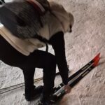 Evening Snowshoeing / Cross-country skiing Experience - Authentic Feedback & What Travelers Say