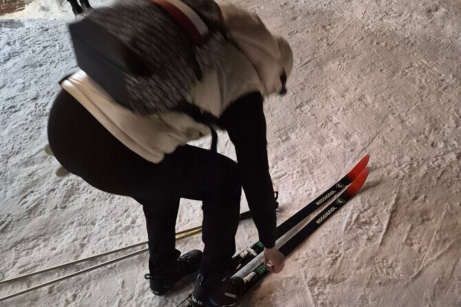 Evening Snowshoeing / Cross-country skiing Experience - Authentic Feedback & What Travelers Say