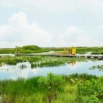 Everglades Airboat Ride and Nature Walk Private Tour - The Experience in Context
