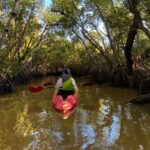 Everglades Kayak & Canoe Rentals - Authentic Reviews and What They Reveal