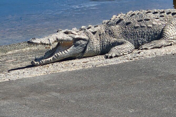 Everglades National Park: 3 Hikes + 90 minute Boat Tour + Lunch - Potential Drawbacks to Keep in Mind