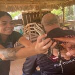 Everglades Tour in French from Orlando and the surrounding area - A Step-by-Step Look at the Experience