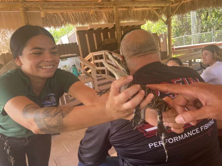 Everglades Tour in French from Orlando and the surrounding area - A Step-by-Step Look at the Experience