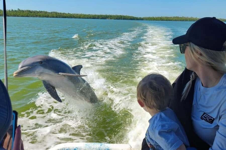 Everglades Tour with 2 Boat Rides, Hike and Lunch - The Airboat Ride: A Heart-Pumping Introduction