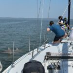 Exciting Public Afternoon Sail on our Newest Sailboat - What Makes This Tour Stand Out?