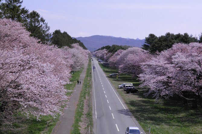 Exclusive 2-Day Tour to Hokkaidos Two Cultural Heritage Areas - Authentic Experiences and Hidden Gems