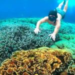 Exclusive 4 Secret Gilis: Petagan, Bidara, Kapal, and Kondo - Detailed Itinerary and What to Expect