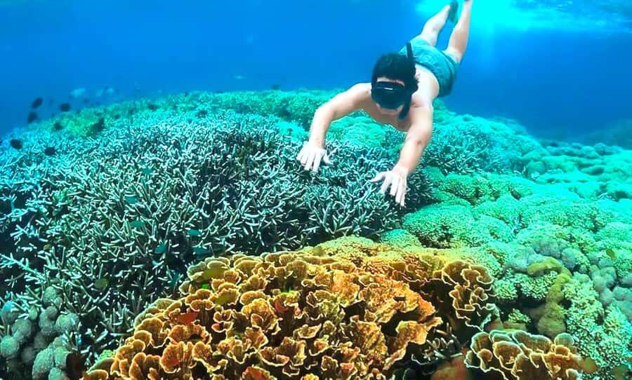 Exclusive 4 Secret Gilis: Petagan, Bidara, Kapal, and Kondo - Detailed Itinerary and What to Expect