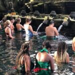 Exclusive Bali Driver Experience - Transportation and Group Size