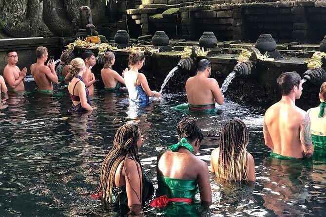 Exclusive Bali Driver Experience - Transportation and Group Size