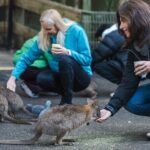 Exclusive Blue Mountains Wildlife and Bushwalk Tour From Sydney - Is This Tour Worth the Price?