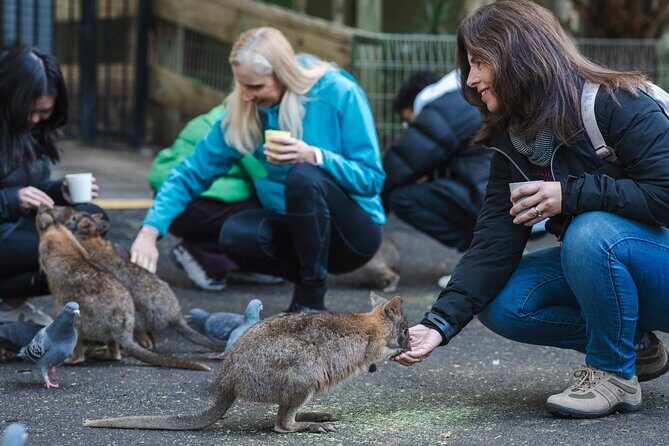 Exclusive Blue Mountains Wildlife and Bushwalk Tour From Sydney - Is This Tour Worth the Price?