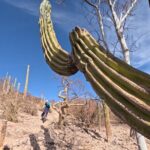 Exclusive Ebike Adventure in Nopolo National Park - Detailed Itinerary Breakdown