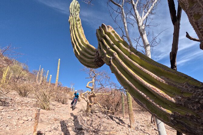 Exclusive Ebike Adventure in Nopolo National Park - Detailed Itinerary Breakdown