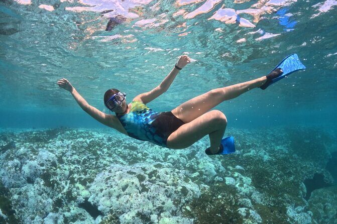 Exclusive Fullday Tour of San Agustín & 9 Bays of Huatulco (8 hr) - What Travelers Say