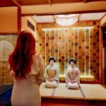 Exclusive Geisha PerformanceSake Tasting in a Tokyo Private Room - Pricing & What You’re Getting