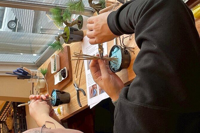 Exclusive Kanazawa Craft Bonsai Experience with Black Tile Pot - What About the Finished Bonsai?