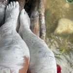 Exclusive Private Bamboo River Rafting Experience in Montego Bay - Itinerary and Experience Breakdown