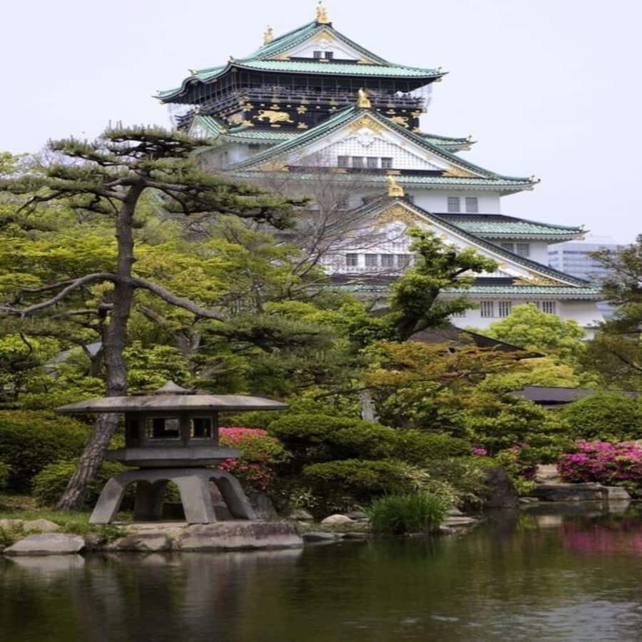 Exclusive Private Guided Tour of Osaka & Nara, Customize - How This Tour Works in Practice