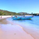 Exclusive Private Pink Beach with Snorkeling Tour - The Experience from Reviews and Practical Insights