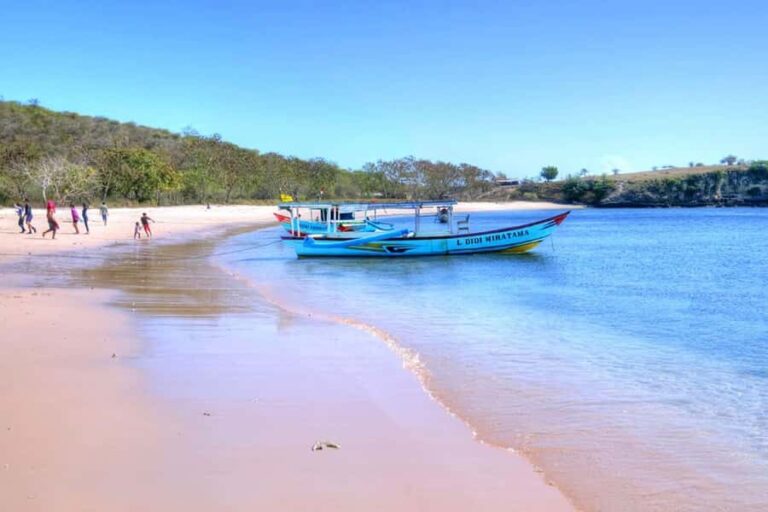 Exclusive Private Pink Beach with Snorkeling Tour - The Experience from Reviews and Practical Insights
