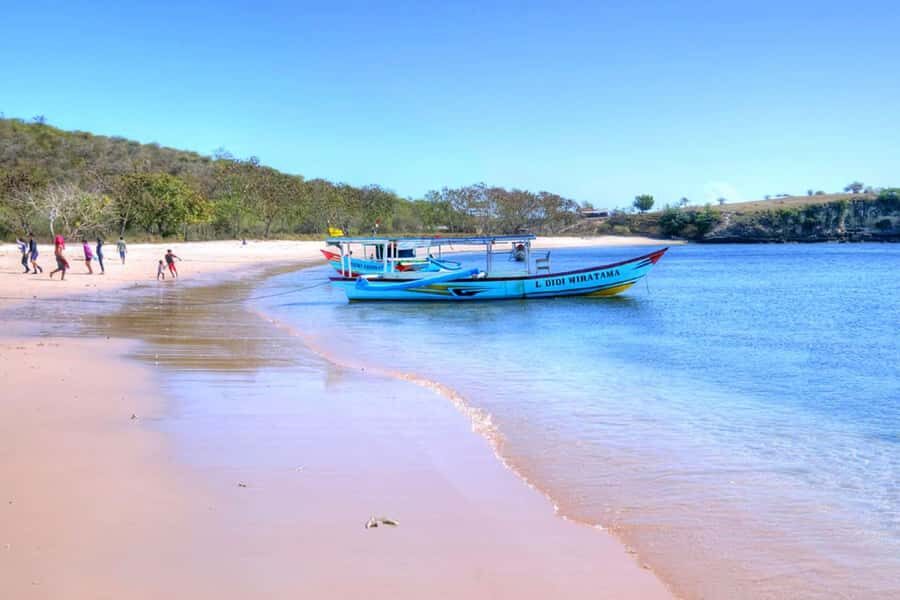 Exclusive Private Pink Beach with Snorkeling Tour - The Experience from Reviews and Practical Insights