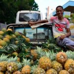 Exclusive Punta Cana Private City Tour - A Closer Look at the Itinerary