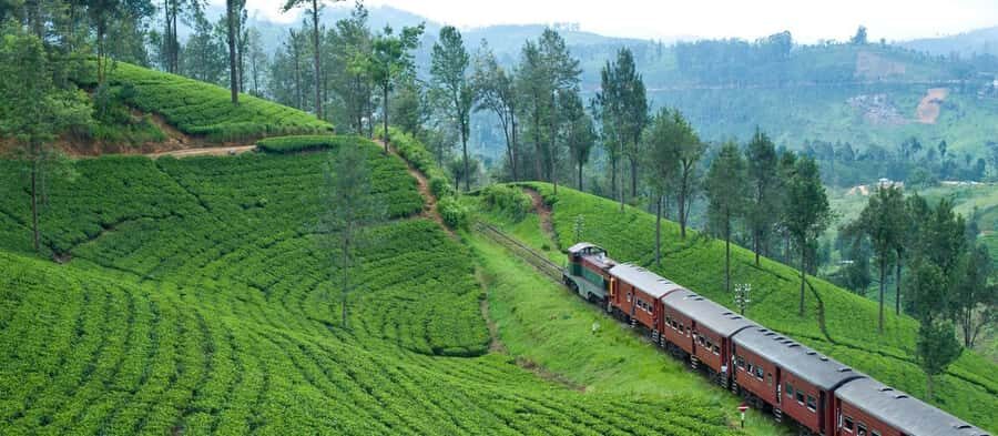 Exclusive: Scenic Train Ride & Horton Plains Private Tour - Horton Plains and its Unique Features