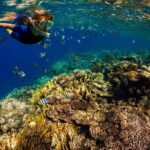 Exclusive Super Raft Kona Snorkel Tour Family Friendly Adventure - The Practical Side