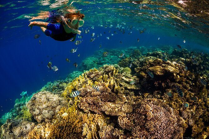 Exclusive Super Raft Kona Snorkel Tour Family Friendly Adventure - The Practical Side